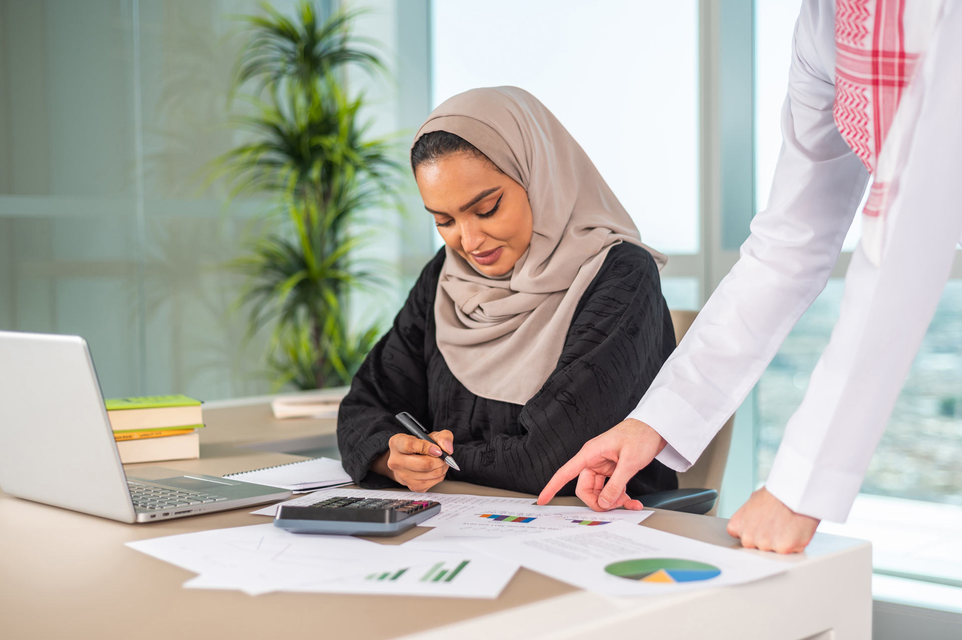 Accounting, Bookkeeping and Payroll Support - NSK Consultants